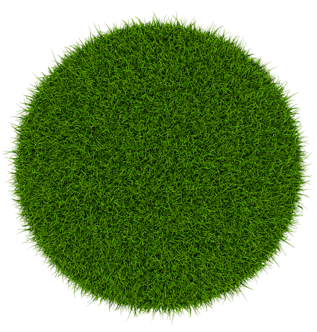 Artificial Turf and Grass | San Bernardino | Los Angeles | Orange